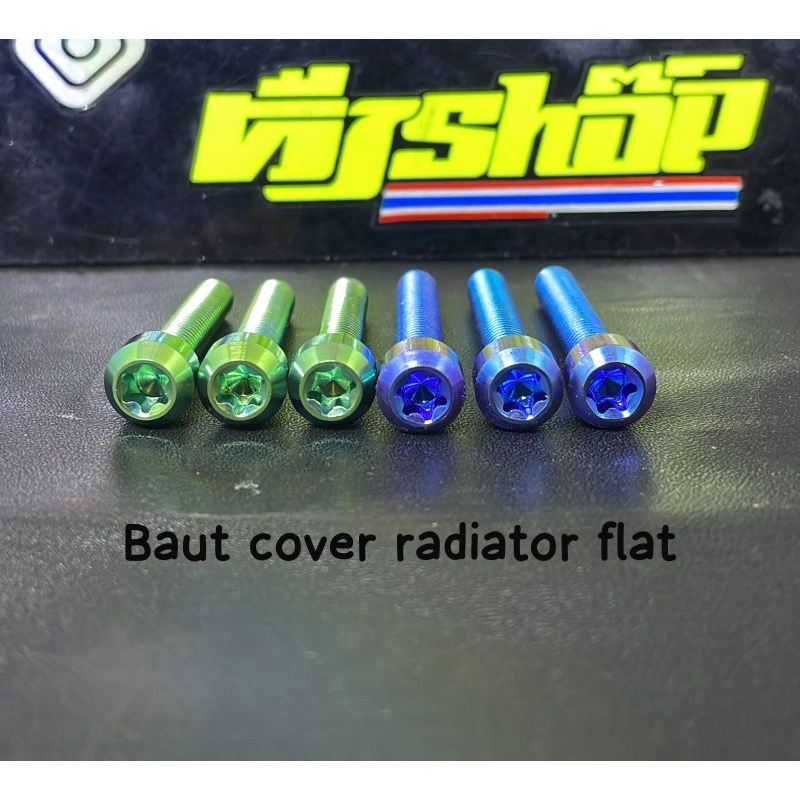Jual Baut probolt titanium cover radiator flat datar Vario 125/150 pcx ...