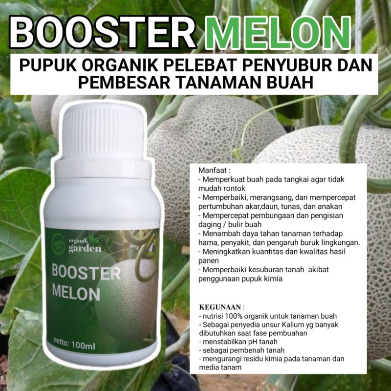 Jual MELON | booster cair nutrisi vitamin pelebat buah MELON 100 ml | Shopee Indonesia