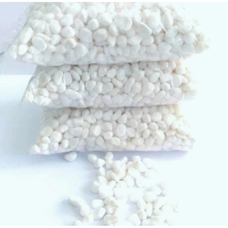 Jual Batu coral putih Batu koral putih Batu Italia hiasan 1kg Batu hias ...