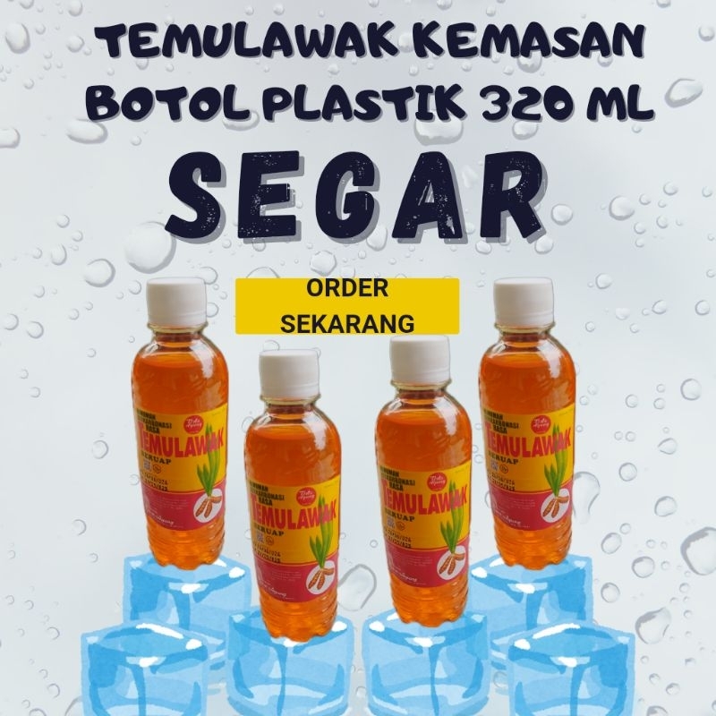 Jual TEMULAWAK MINUMAN TRADISIONAL KEMASAN BOTOL PLASTIK 320 ML HALAL ...