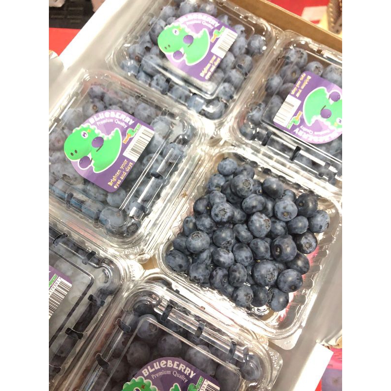 Jual Blueberry Dino Fresh Jumbo 18mm+ (125gram x 12pack)/pack | Shopee ...