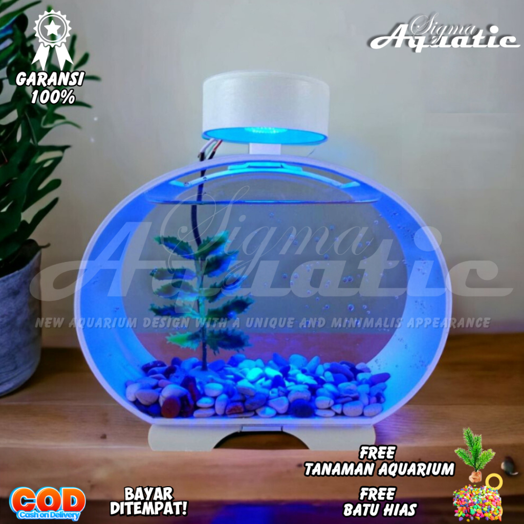 Jual Aquarium / Akuarium mini soliter ikan cupang ikan hias plus batu ...