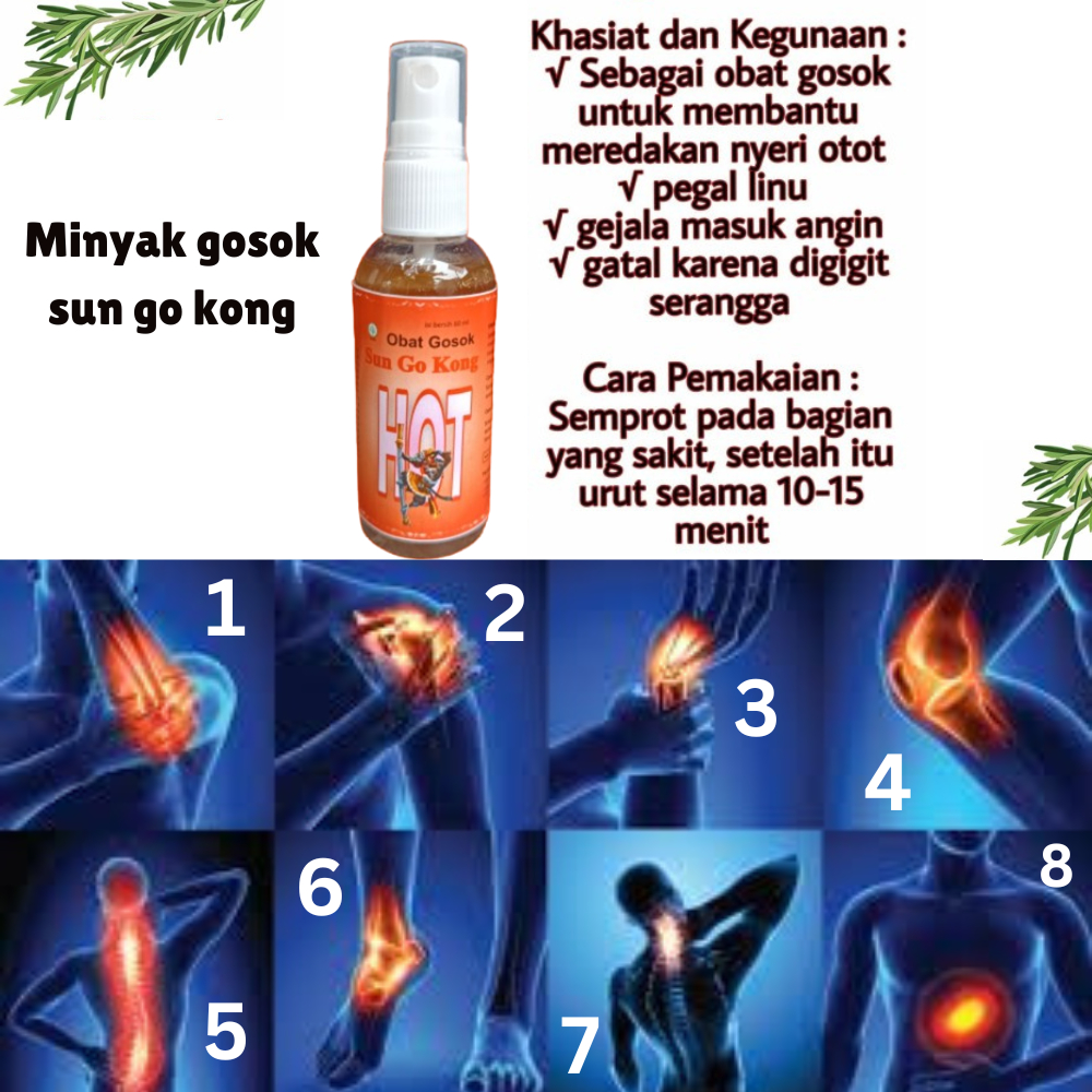 Jual Obat Gosok Kera Sakti 60 ml / Obat Gosok Sun Go Kong / Obat Asam ...