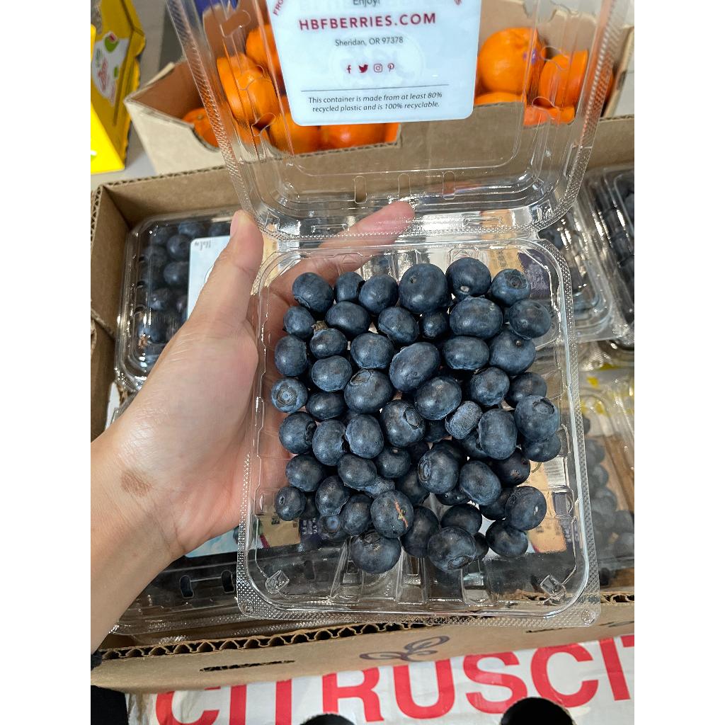 Jual BLUEBERRY USA,BLUEBERRY AUSTRALIA,BLUEBERRY RRC | Shopee Indonesia