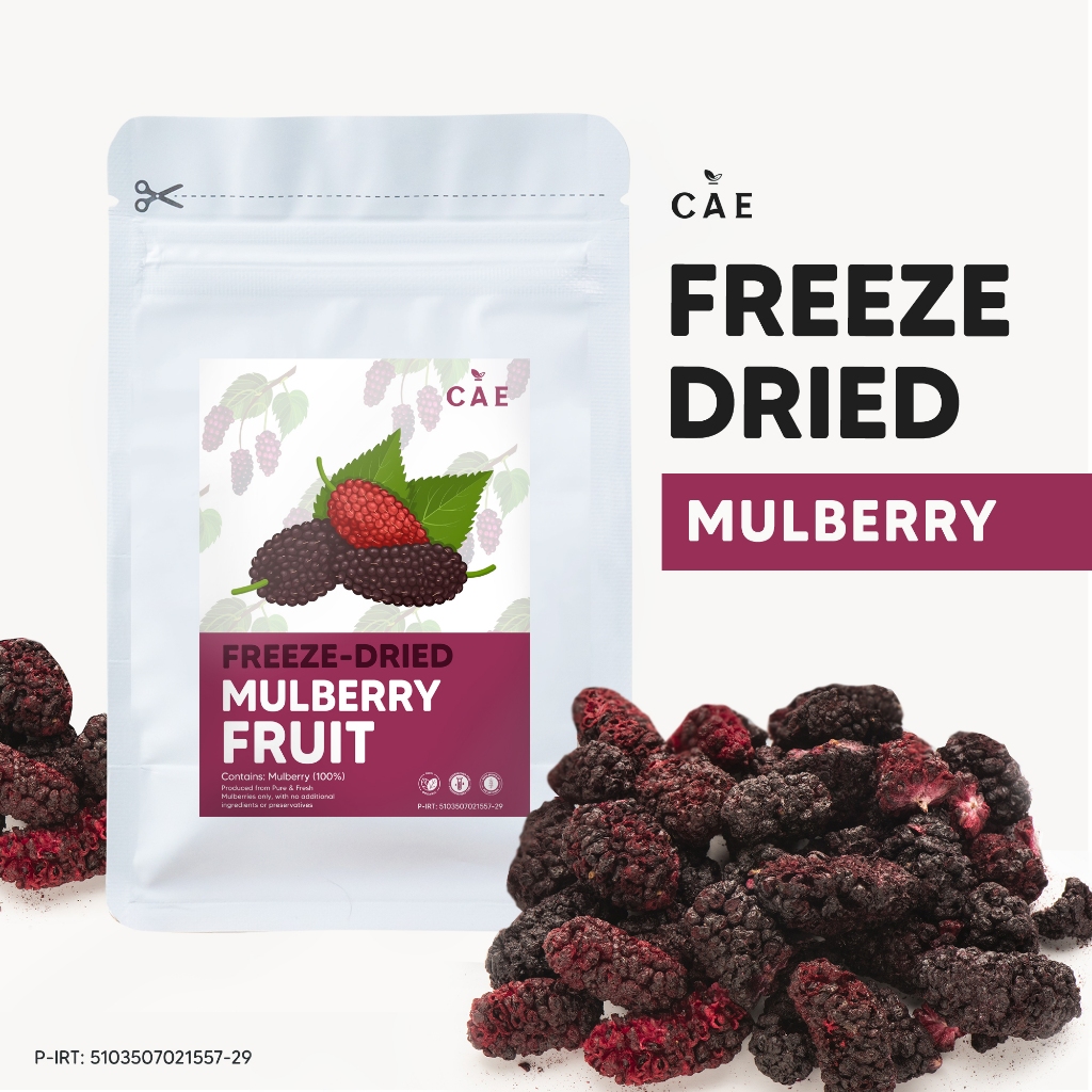 Jual Mulberry Freeze Dried Mulberry Fruit Buah Crisp Pure Kering Utuh ...