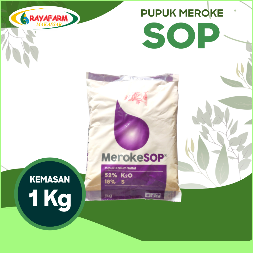 Jual Pupuk Kalium Sulfat Meroke SOP Kemasan 1kg | Shopee Indonesia