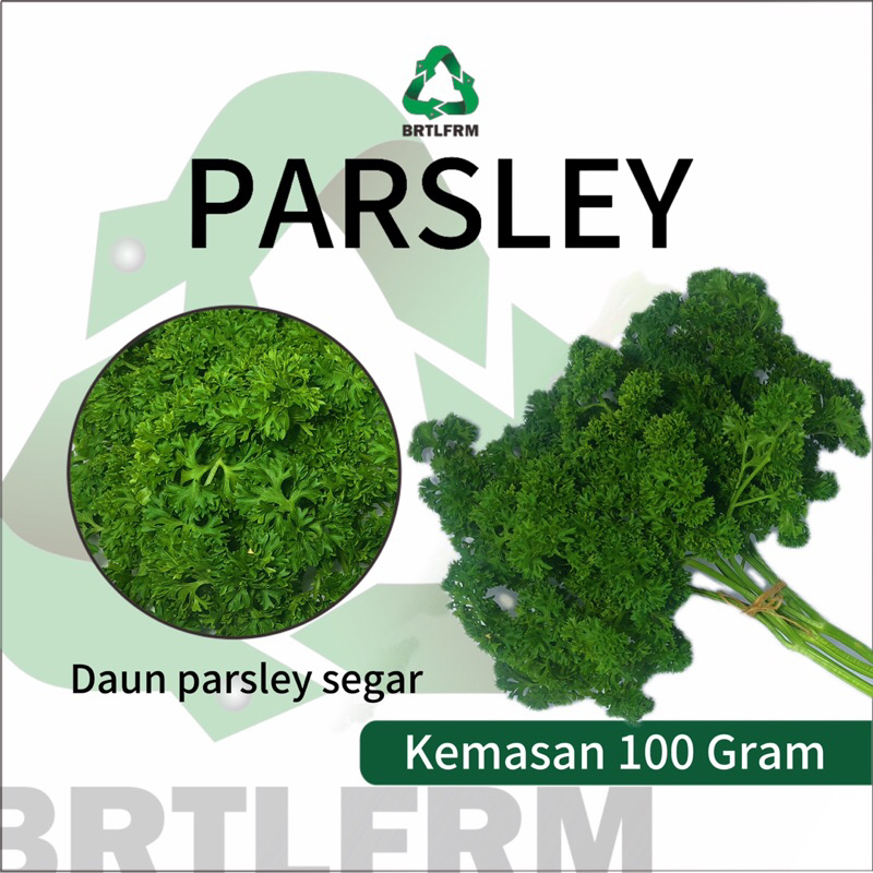 Jual DAUN PARSLEY \ FRESH PARSLEY \ PARSLEY SEGAR \ PETERSELI KEMASAN ...