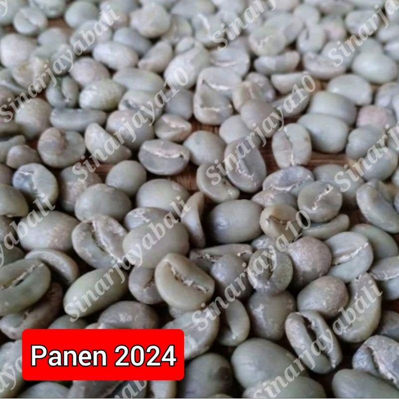 Jual kopi arabika kintamani biji kopi arabica bali green bean coffee ...