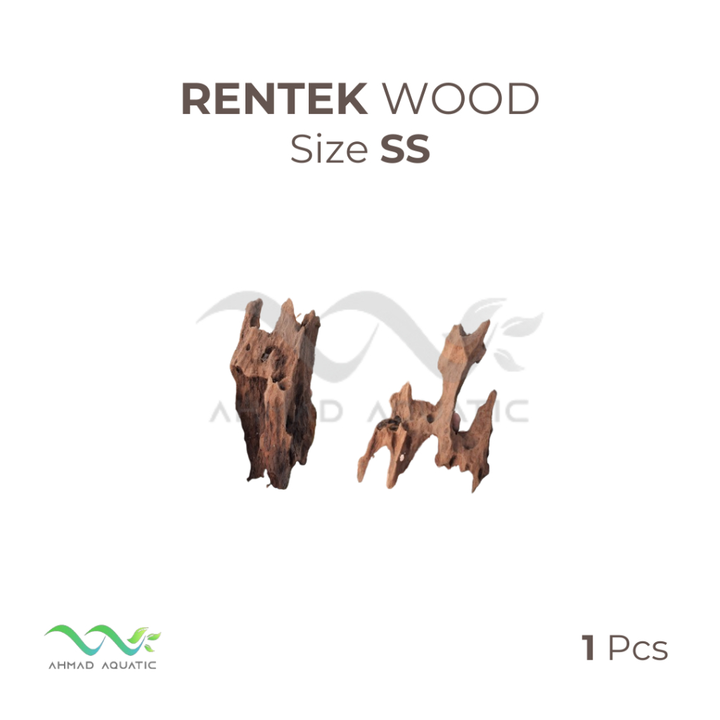 Jual Kayu Rentek Aquascape Size SS | Shopee Indonesia