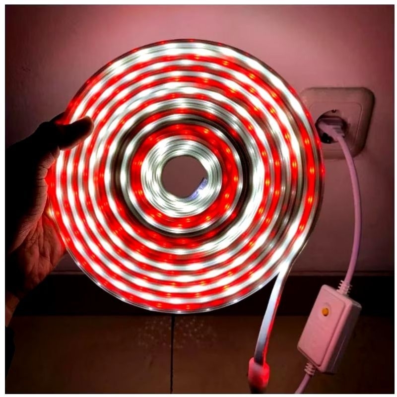 Jual LAMPU LED STRIP MERAH PUTIH RAINBOW | Shopee Indonesia