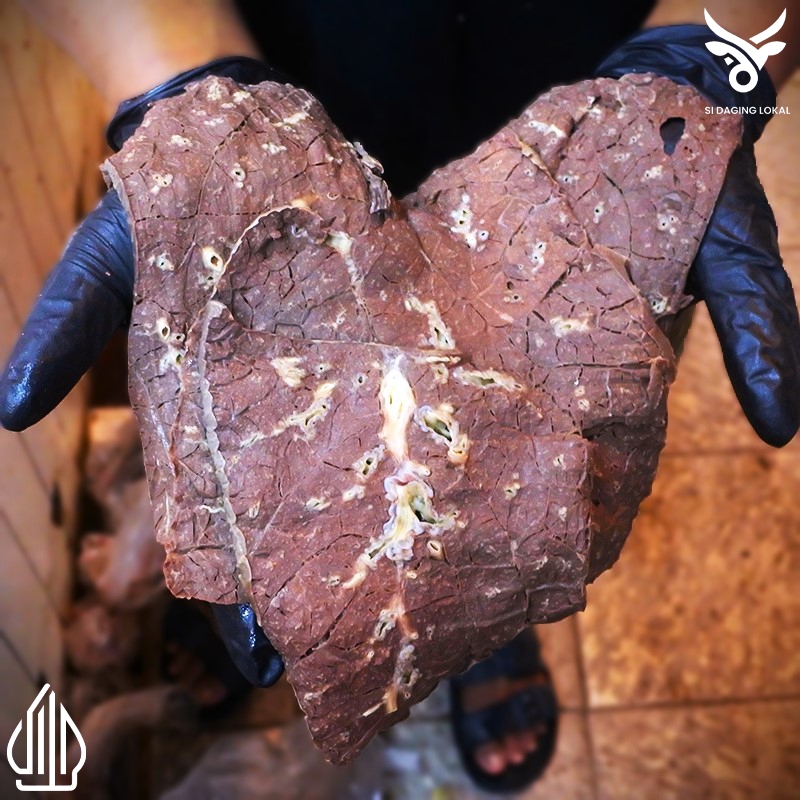 Jual Paru sapi lokal rebus potong dendeng - 500 / 750 Gram | Shopee ...