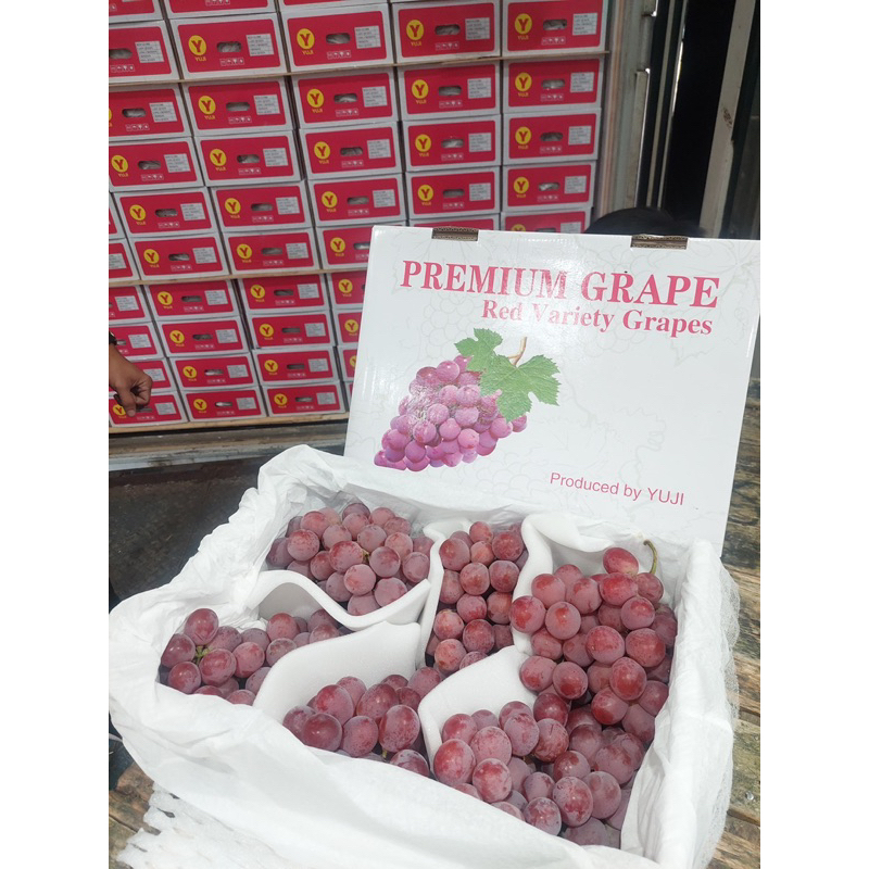 Jual 500gr premo yuji import peru buah anggur merah ada biji anggur red ...