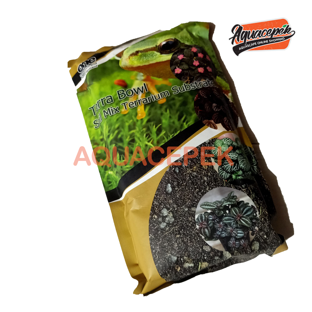 Jual TERRA BOWL TERRARIUM SOIL SUBSTRATE MEDIA TANAM PALUDARIUM | Shopee Indonesia