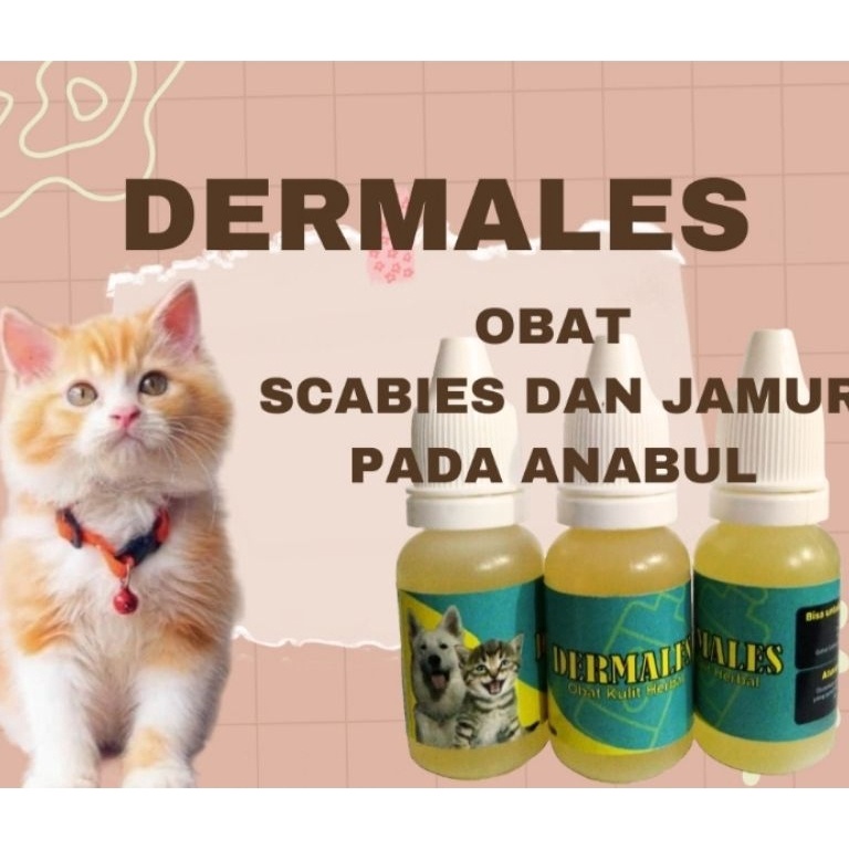 Jual KODE K55H Obat gatal jamur scabies kucing anjing | Shopee Indonesia