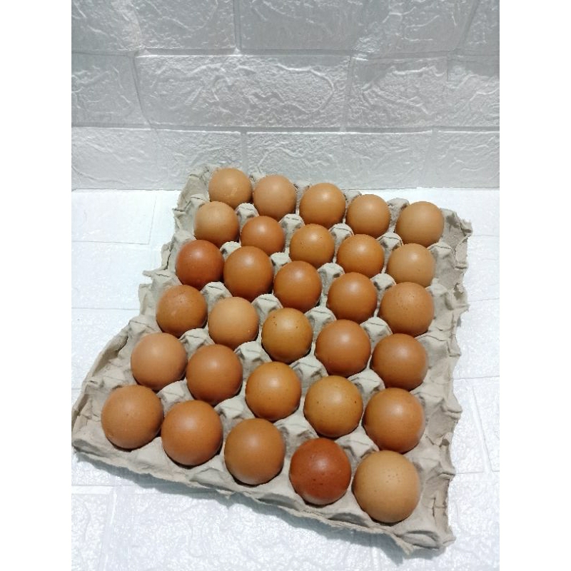 Jual Telur ayam negeri isi 30 butir sekitar 1,9 kg kulit lebih tebal ...
