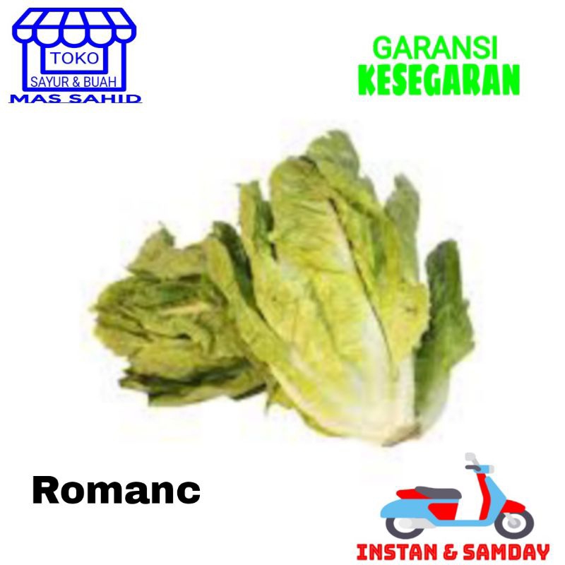 Jual Sayur Romaine Selada Romain 100gr/200gr Sayur Salad | Shopee Indonesia