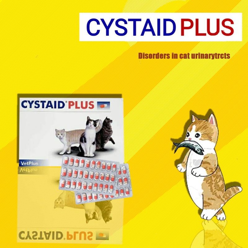 Jual Vetplus Cystaid Plus 1 BOX (30 Capsules) Urinary Care MENYEMBUHKAN ...