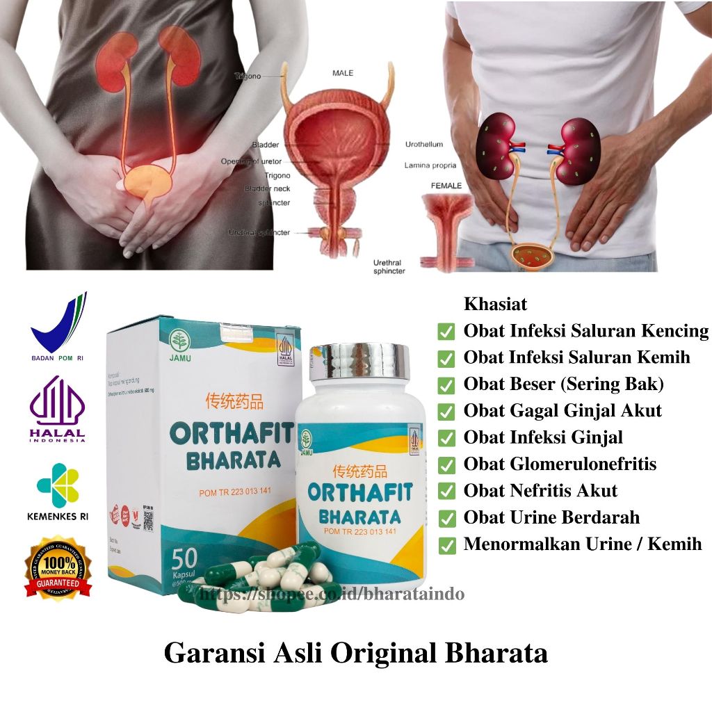 Jual Obat Infeksi Saluran Kencing ISK Ampuh ORTHAFIT BHARATA Original Obat Gagal Ginjal Infeksi ...