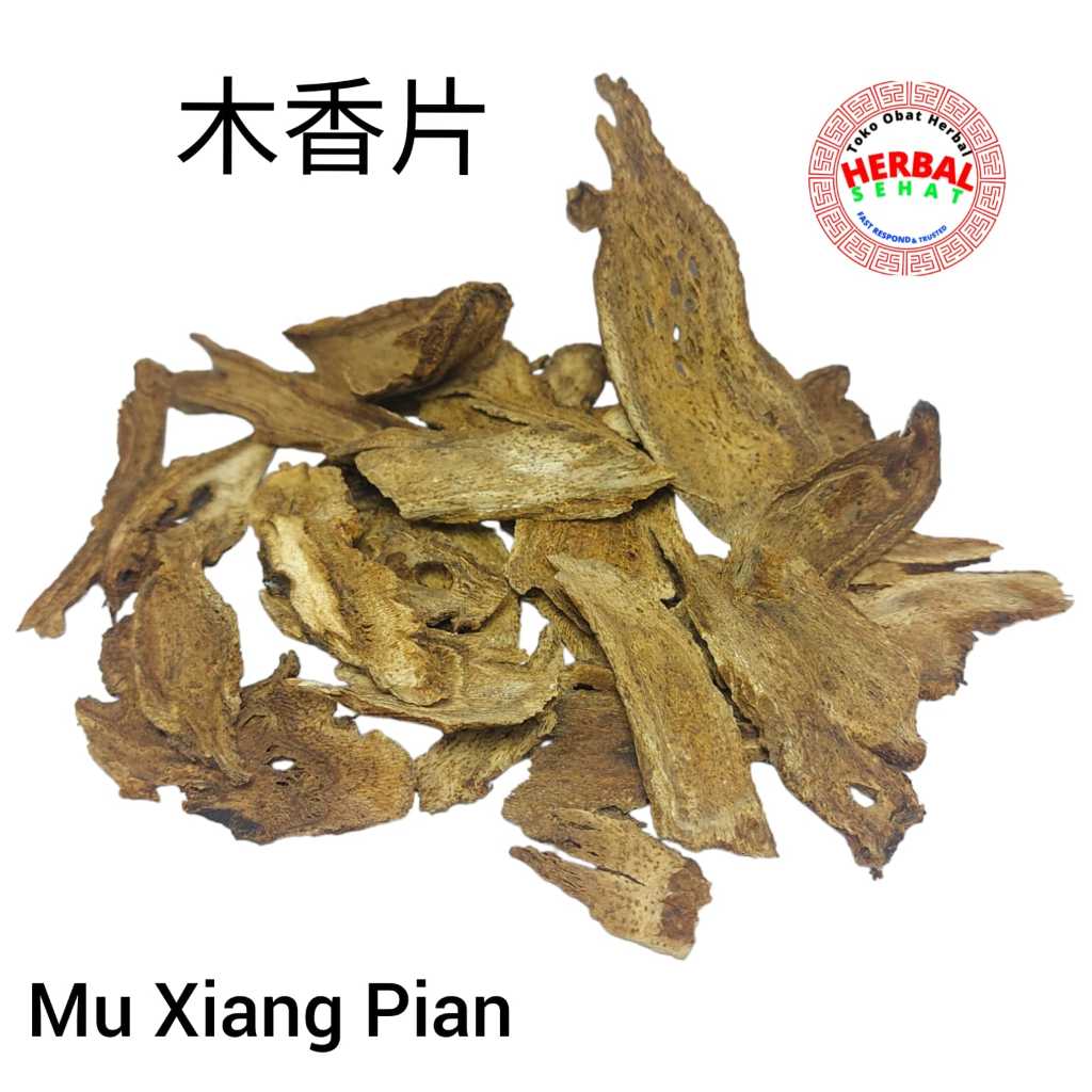 Jual Mu Xiang Pian 木香片 Muxiang - Aucklandia Root Costus Root 50-100 ...