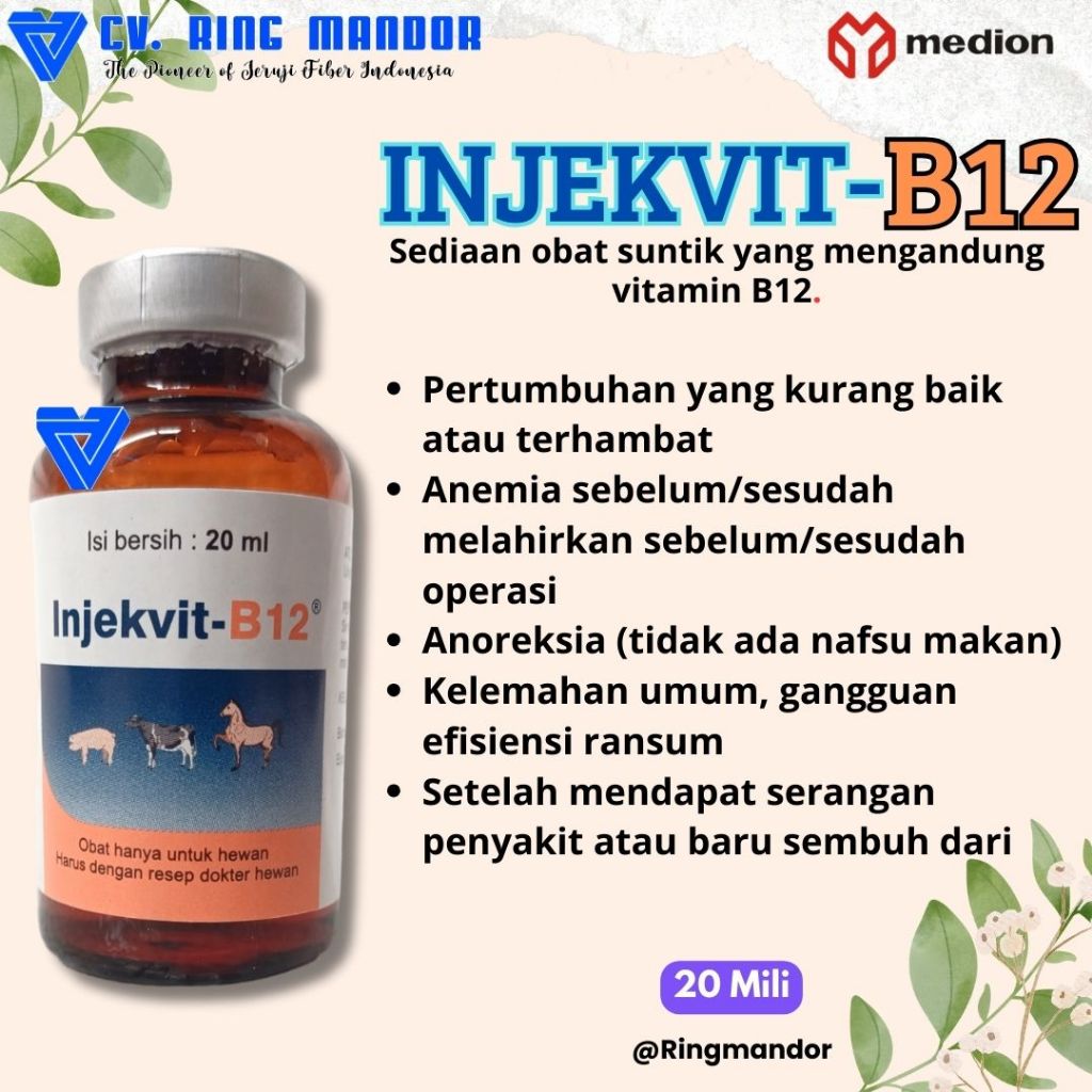 Jual INJEKVIT B12 20ml MEDION Obat B12 Untuk Perbaiki Kondisi Tubuh ...