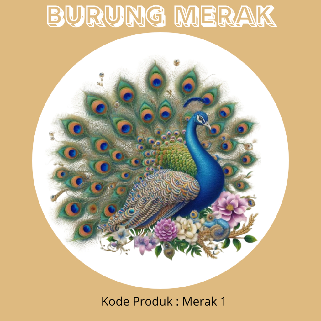 Jual BURUNG MERAK MEWAH TERBARU // HIASAN SESERAHAN // HIASAN BUKET ...
