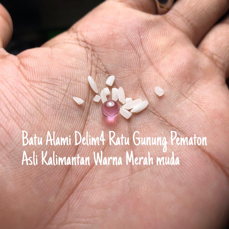 Jual Batu Alami Delima Muda Ratu Gunung Pematon Langka Asli Kalimantan ...