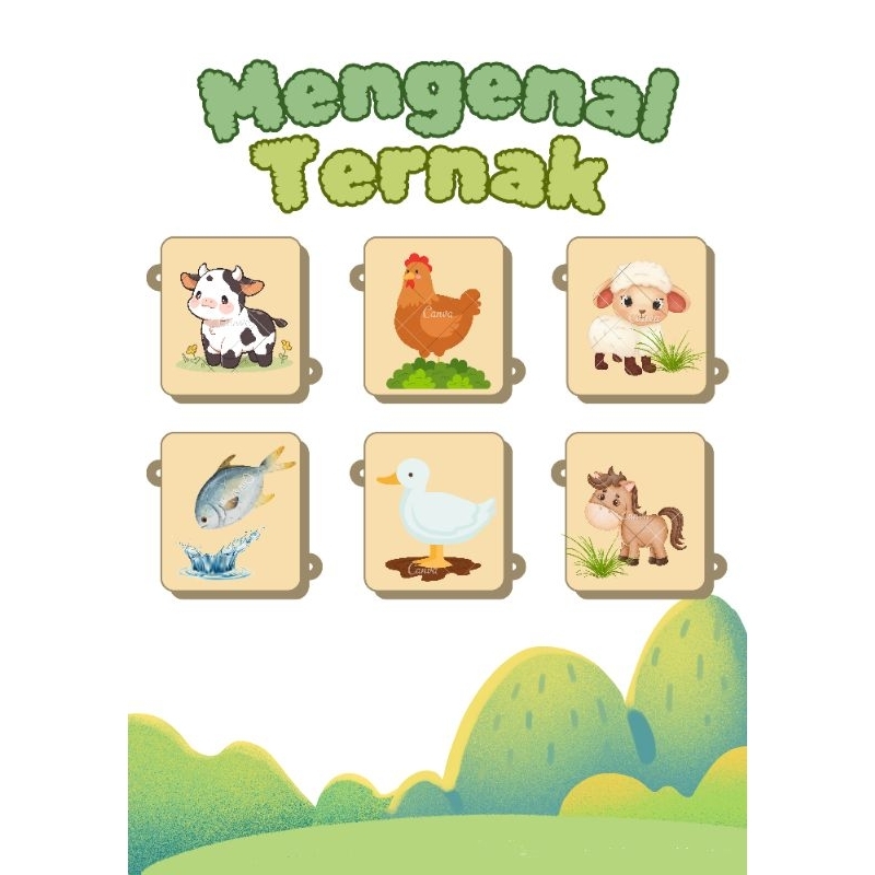 Jual poster edukasi anak (mengenal ternak) | Shopee Indonesia
