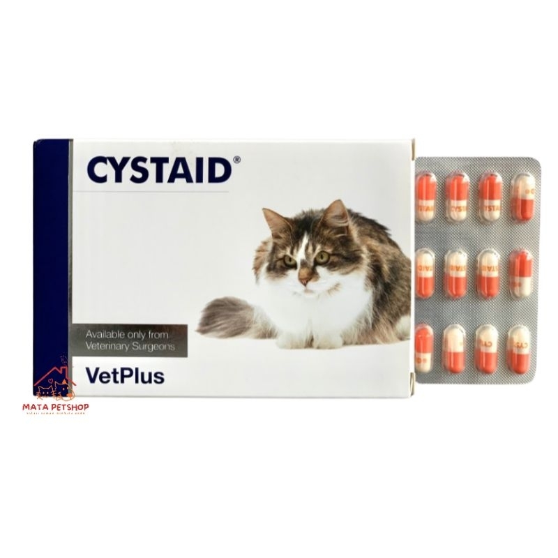 Jual Cystaid Plus 1 Kapsul Obat Untuk Susah Pipis Kucing Obat Infeksi ...