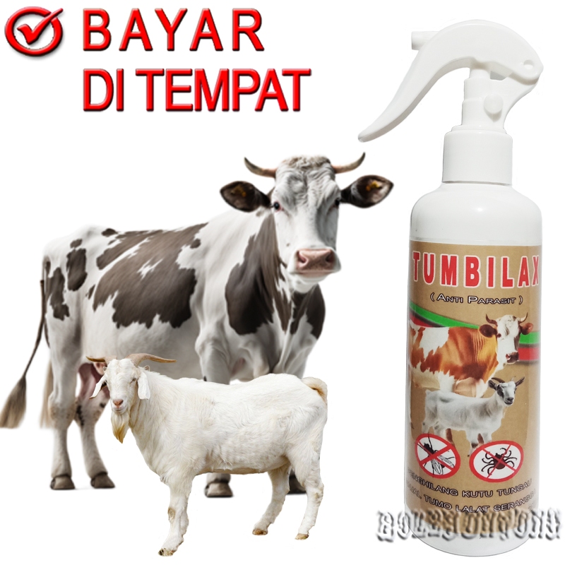Jual TUMBILAX Spray Obat Anti Kutu Lalat Sapi Kambing Basmi Tungau ...