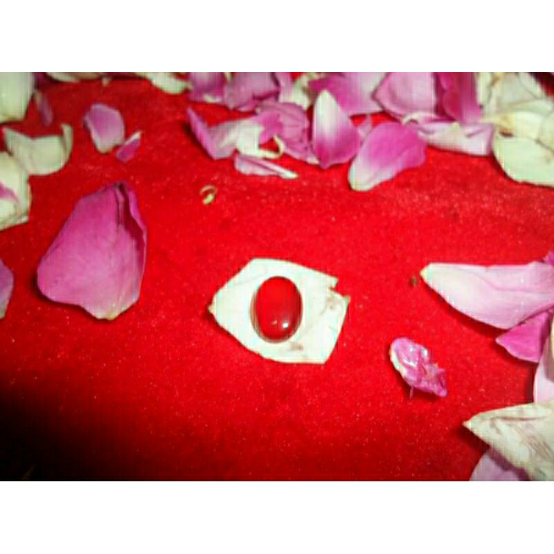 Jual BATU MUSTIKA SILUMAN MACAN MERAH | Shopee Indonesia