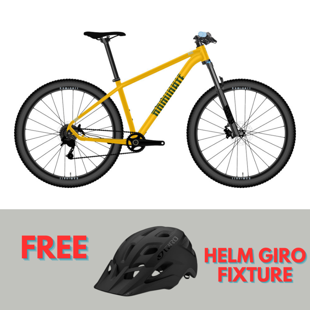Jual Sepeda Gunung MTB DOMINATE AXC 2 COMP R 29 Shimano Deore 12 speed ...