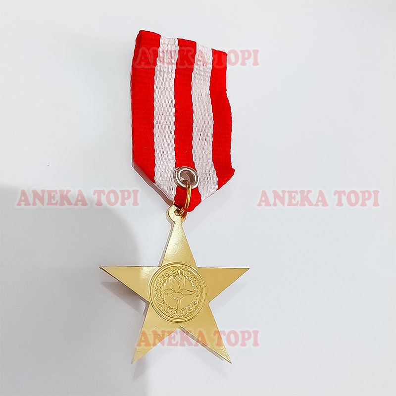 Jual Pin Bintang Jasa Logo Paskibra Tiska Tigor Lencana Tanda Jasa ...