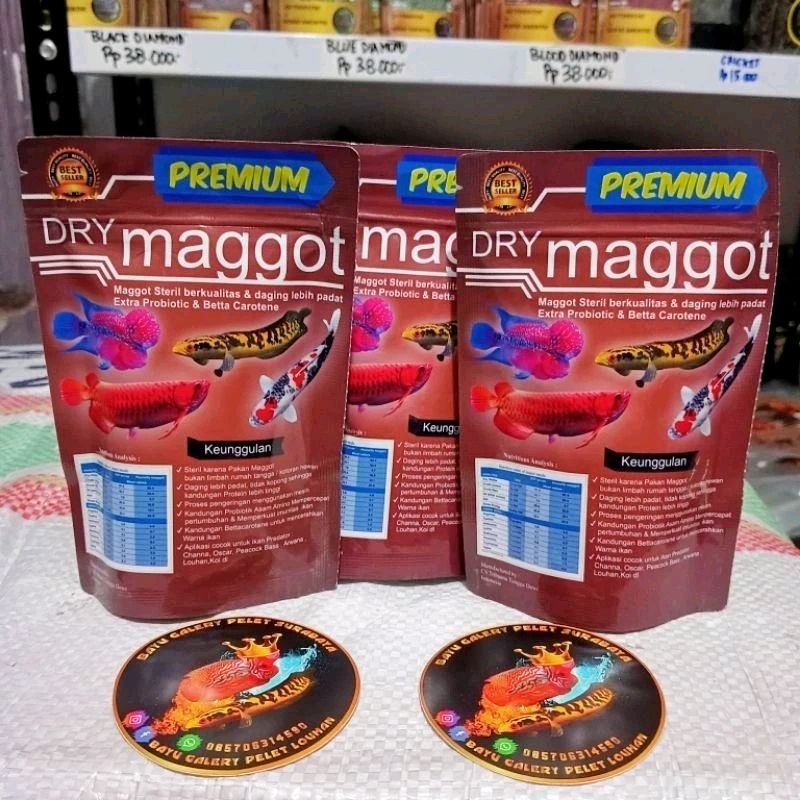 Jual Pakan Channa Maggot Dry Super Premium Multi Color | Shopee Indonesia