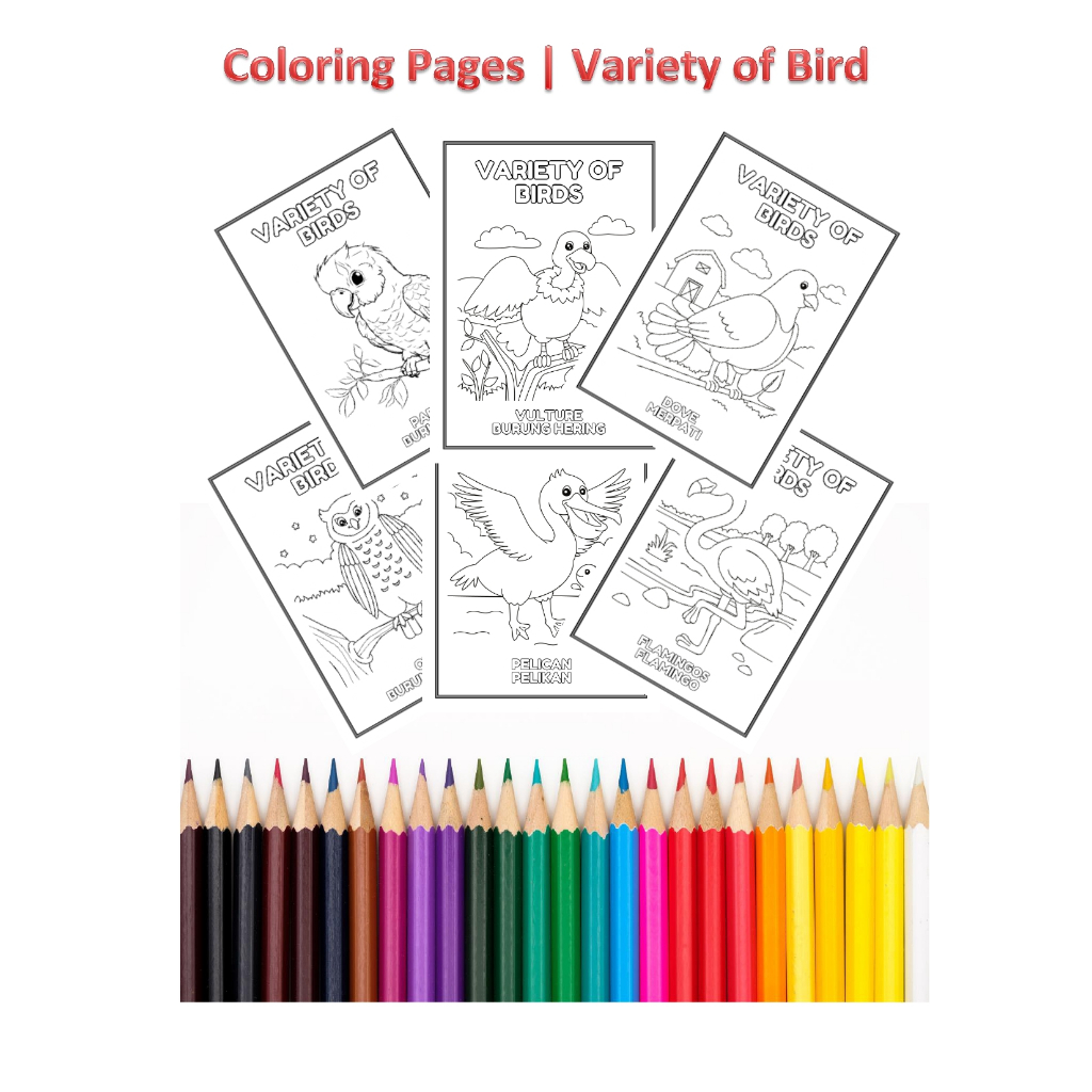 Jual MURAH ! Coloring Pages / Variety of Bird / Berbagai Jenis Burung ...