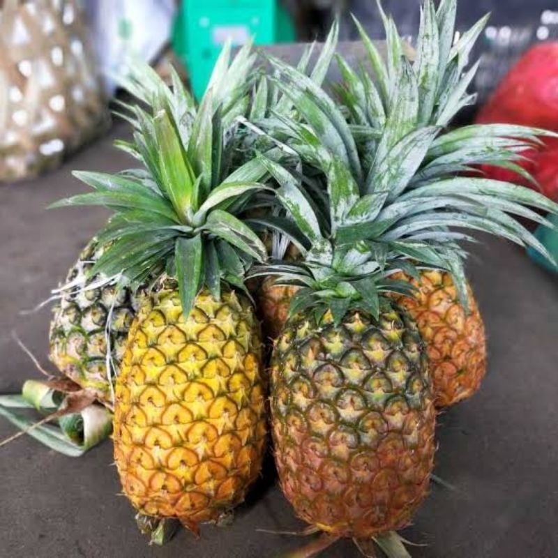Jual Nenas Manis 1 Buah | Shopee Indonesia