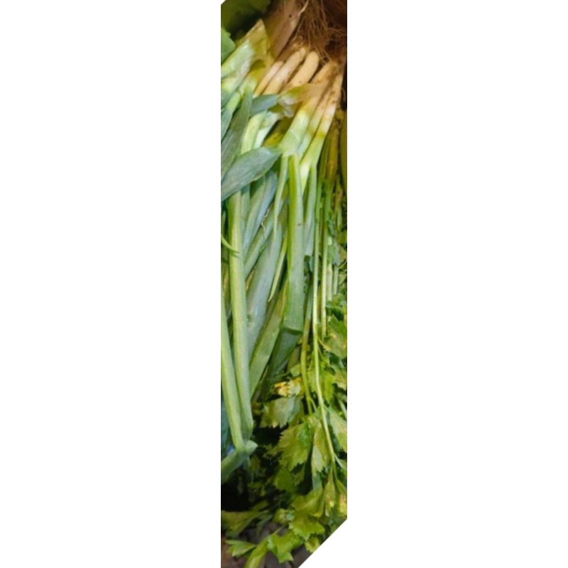 Jual daun bawang Sadri 250grm | Shopee Indonesia