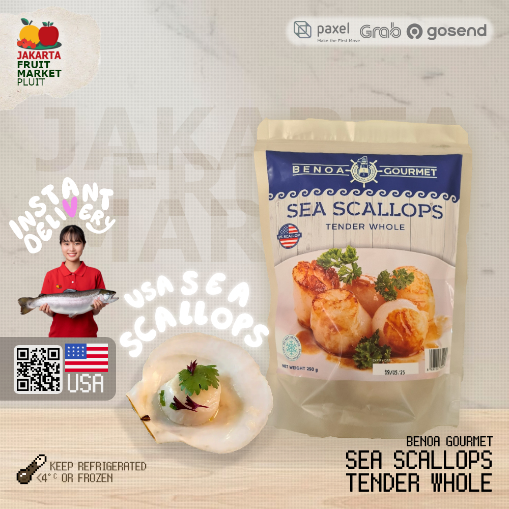 Jual ONE BENOA GOURMET USA SEA SCALLOPS TENDER WHOLE meat daging ...