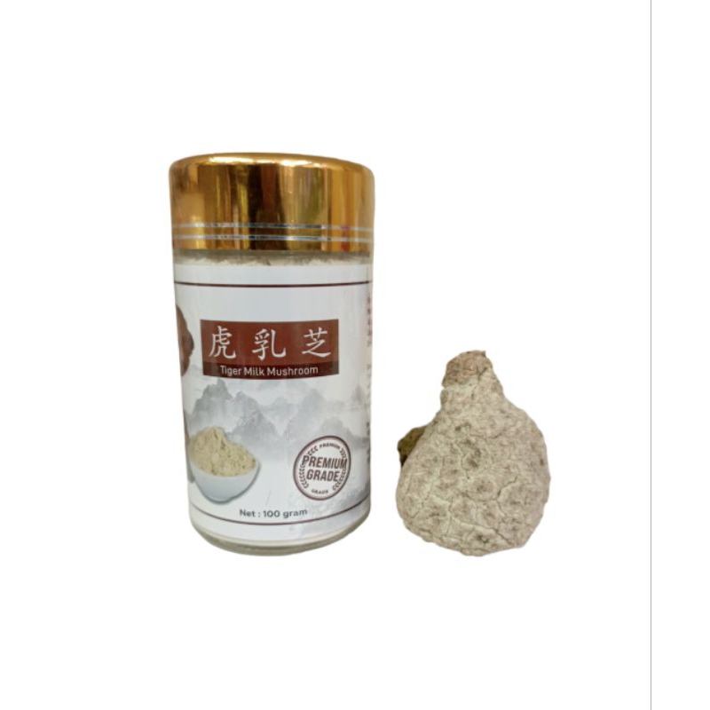 Jual Jamur Susu Harimau Cendawan Susu Harimau Premium | Shopee Indonesia