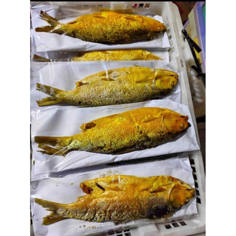 Jual BANDENG PRESTO SUPER FRES 1KG ISI 4 EKOR VAKUM BASAH (-+ 250gr ...