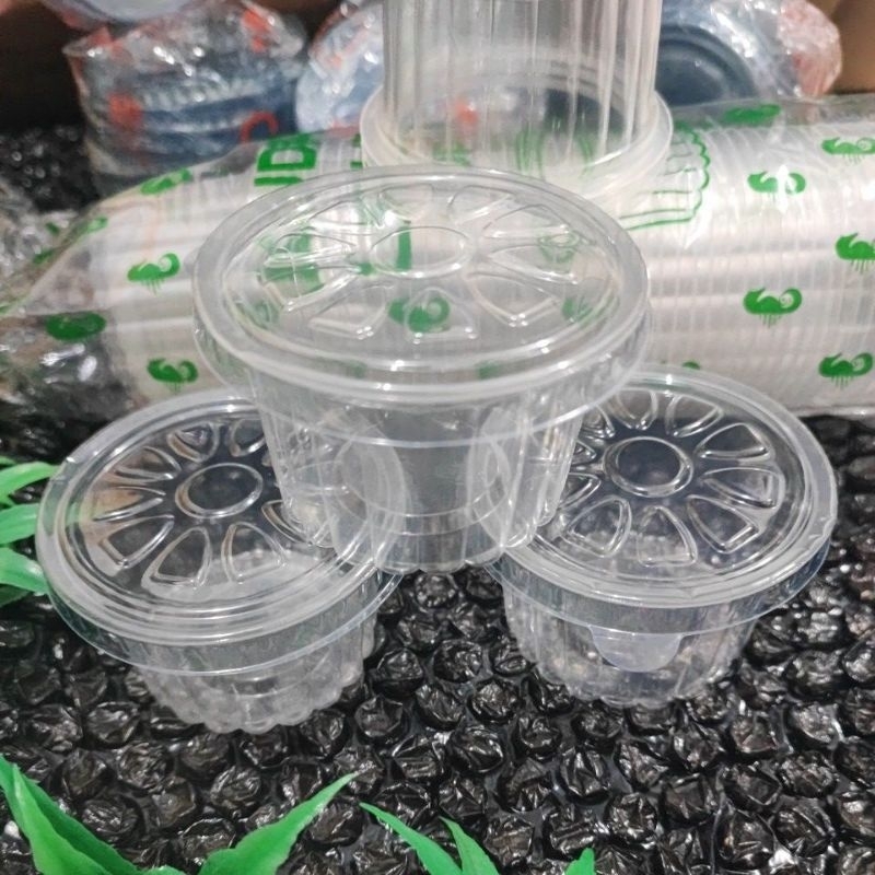 Jual Gelas Gelas Plastik Bening 60ml Belimbing Cup Agar agar / Cup Jelly Pudding Isi 50 + Tutup ...