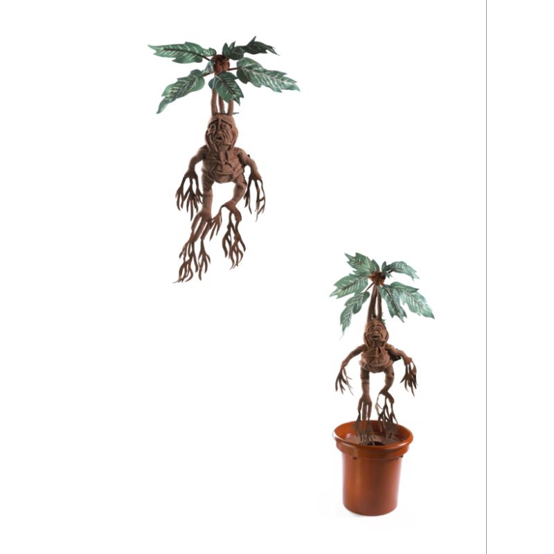 Jual Harry Potter Mandrake Collector's Plush tersedia interaktif with ...