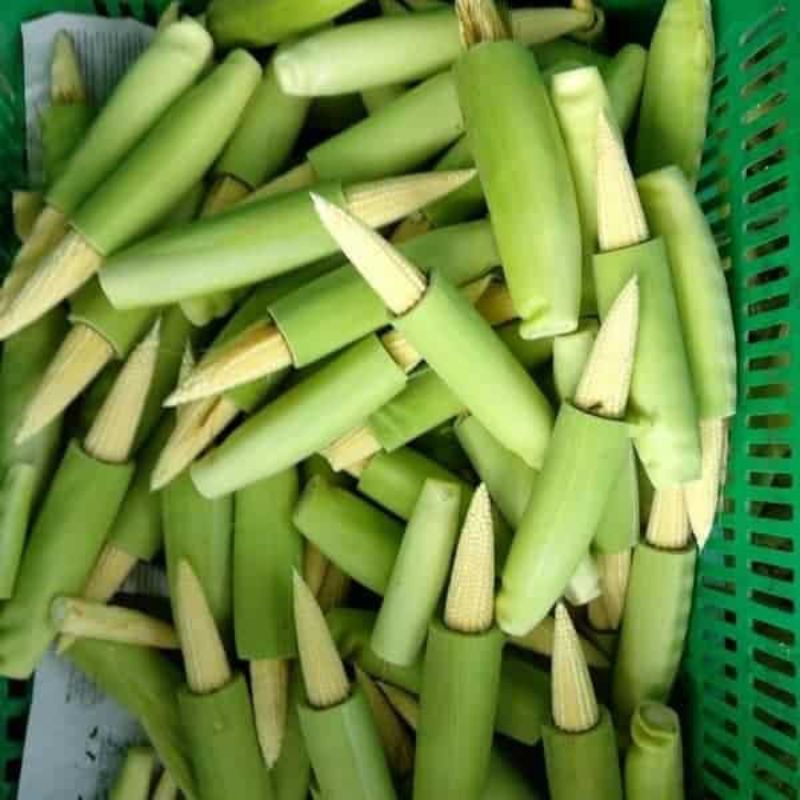 Jual soleng segar(jagung muda)250g | Shopee Indonesia