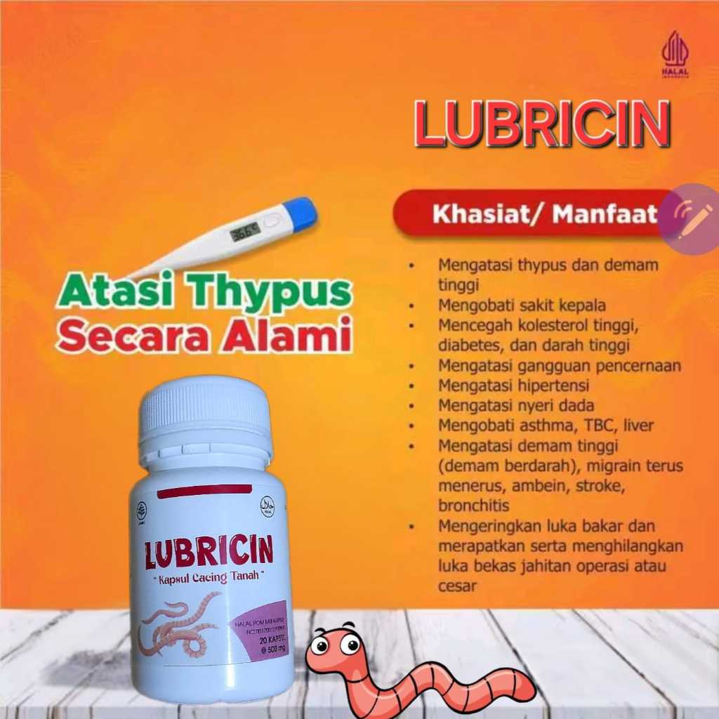 Jual LUBRICIN 20 kapsul / Obat Demam Berdarah DBD Tipes Isi 30 Kapsul ...