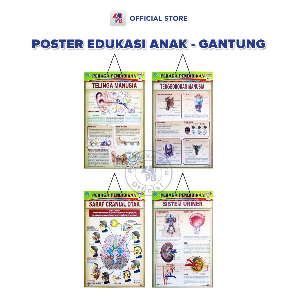 Jual Poster Edukasi Anak Mainan Edukasi Anak Bingkai Sistem Uriner ...