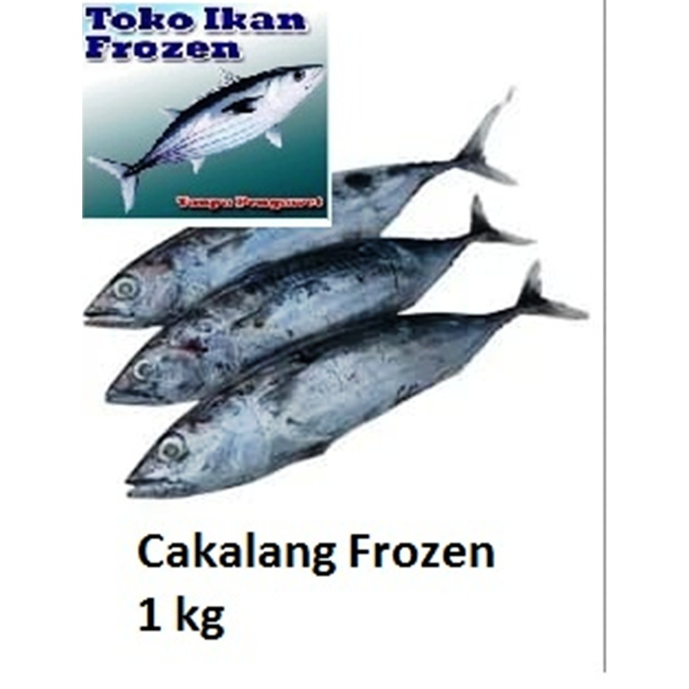 Jual TOKO IKAN FROZEN Ikan Cakalang Frozen Fresh 1 kg | Shopee Indonesia