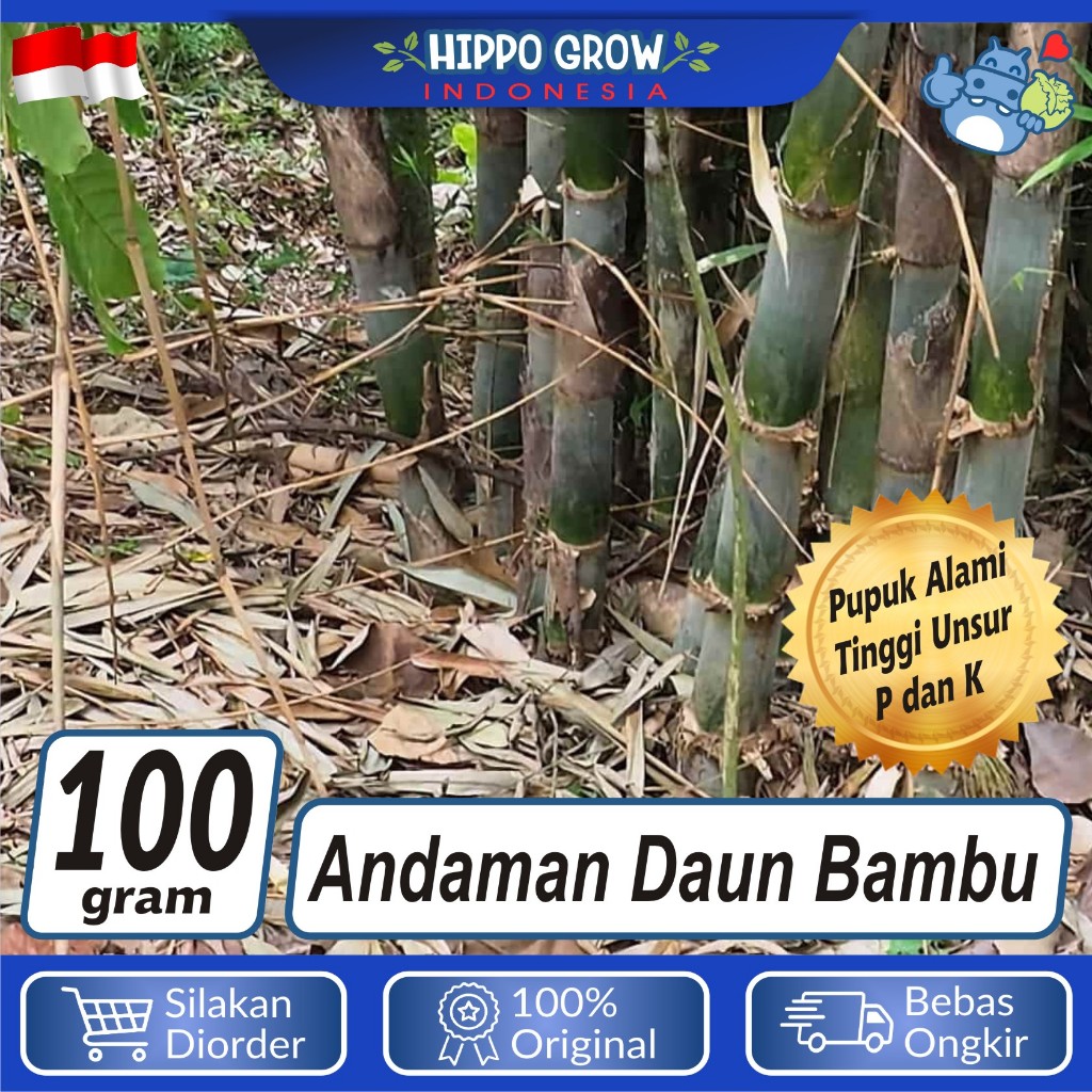 Jual Andaman Daun Bambu Kering Organik Fermentasi untuk Campuran Media ...