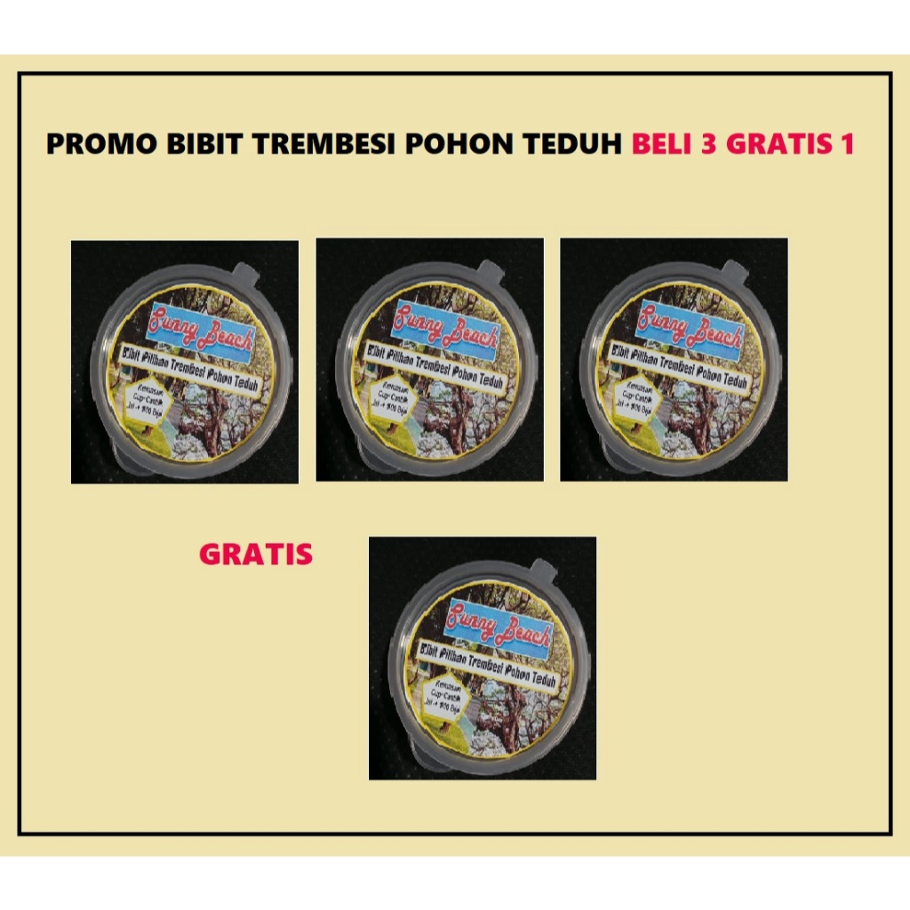 Jual Bibit Pilihan Trembesi Pohon Teduh Kemasan Cup BELI 3 GRTIS 1 ...