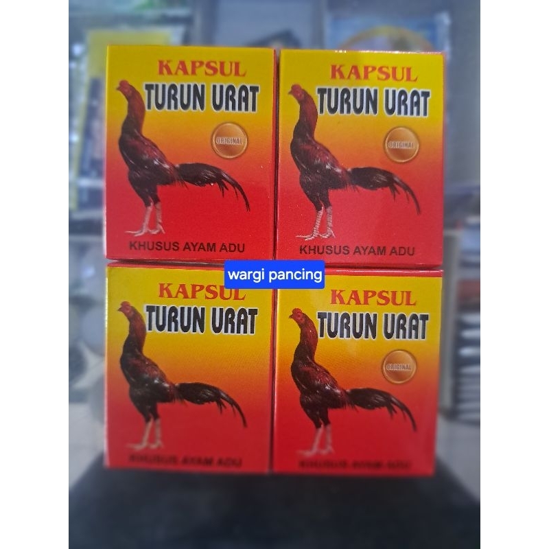 Jual KAPSUL FORMULA TURUN URAT AYAM ADU | Shopee Indonesia
