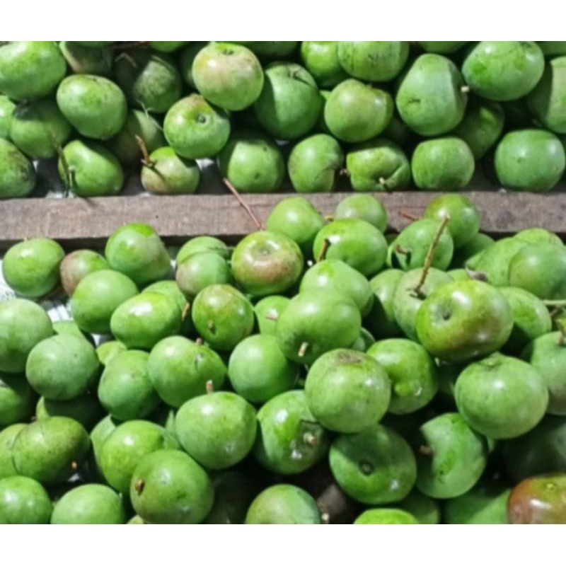 Jual Mangga Apel Muda Belah Biji Fresh 1 kg | Shopee Indonesia