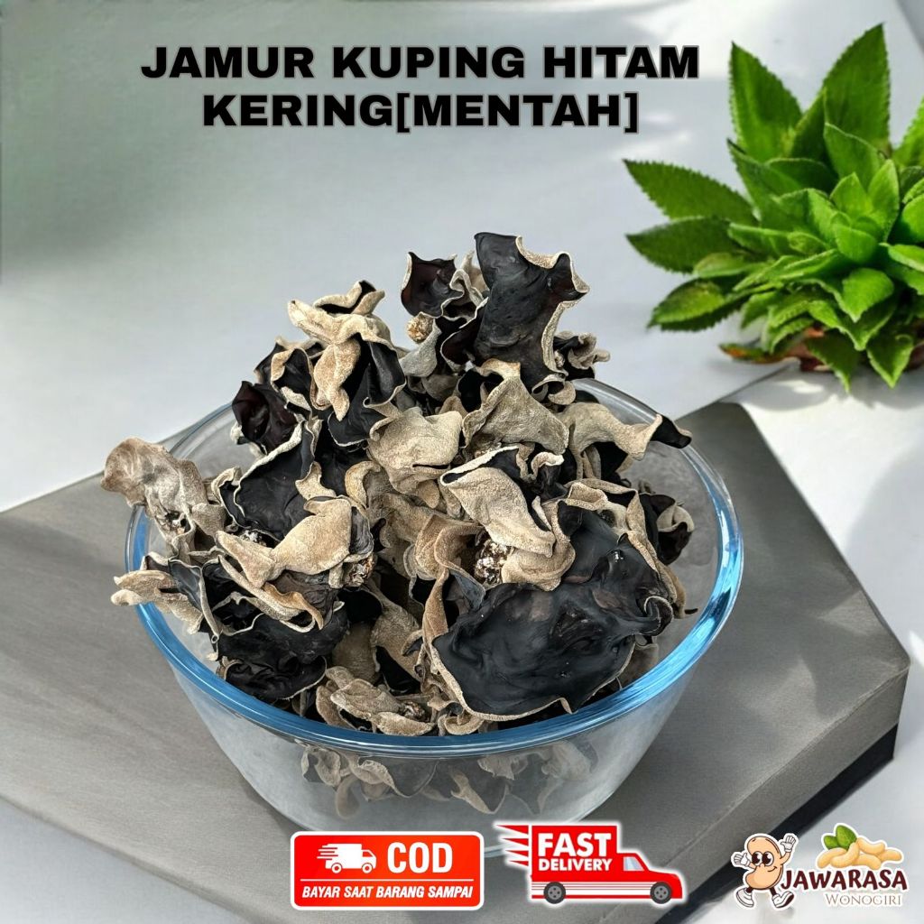 Jual JAMUR KUPING HITAM GRADE A SUPER [MENTAH] | Shopee Indonesia